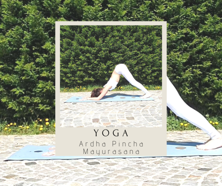 Posture du Dauphin : Ardha Pincha Mayurasana - Constance Moon