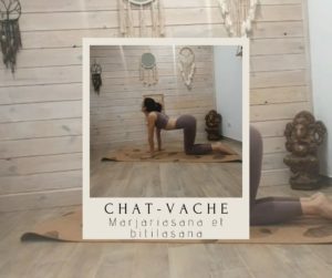 Posture du chat-vache : marjariasana et bitilasana - Constance Moon
